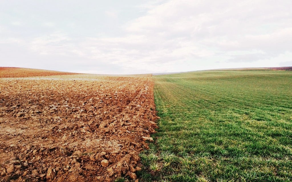 ESTUDIOS EDAFOLÓGICOS - ALLPE MEDIO AMBIENTE - MADRID