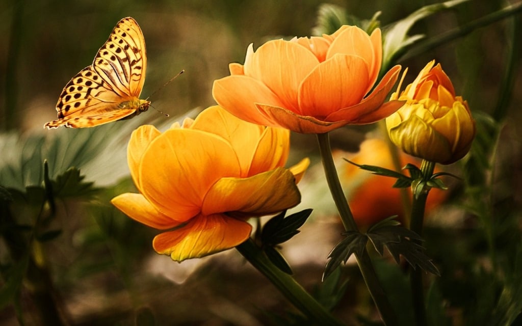 MEDIO AMBIENTE - ALLPE - CONSULTORIA AMBIENTAL EN MADRID